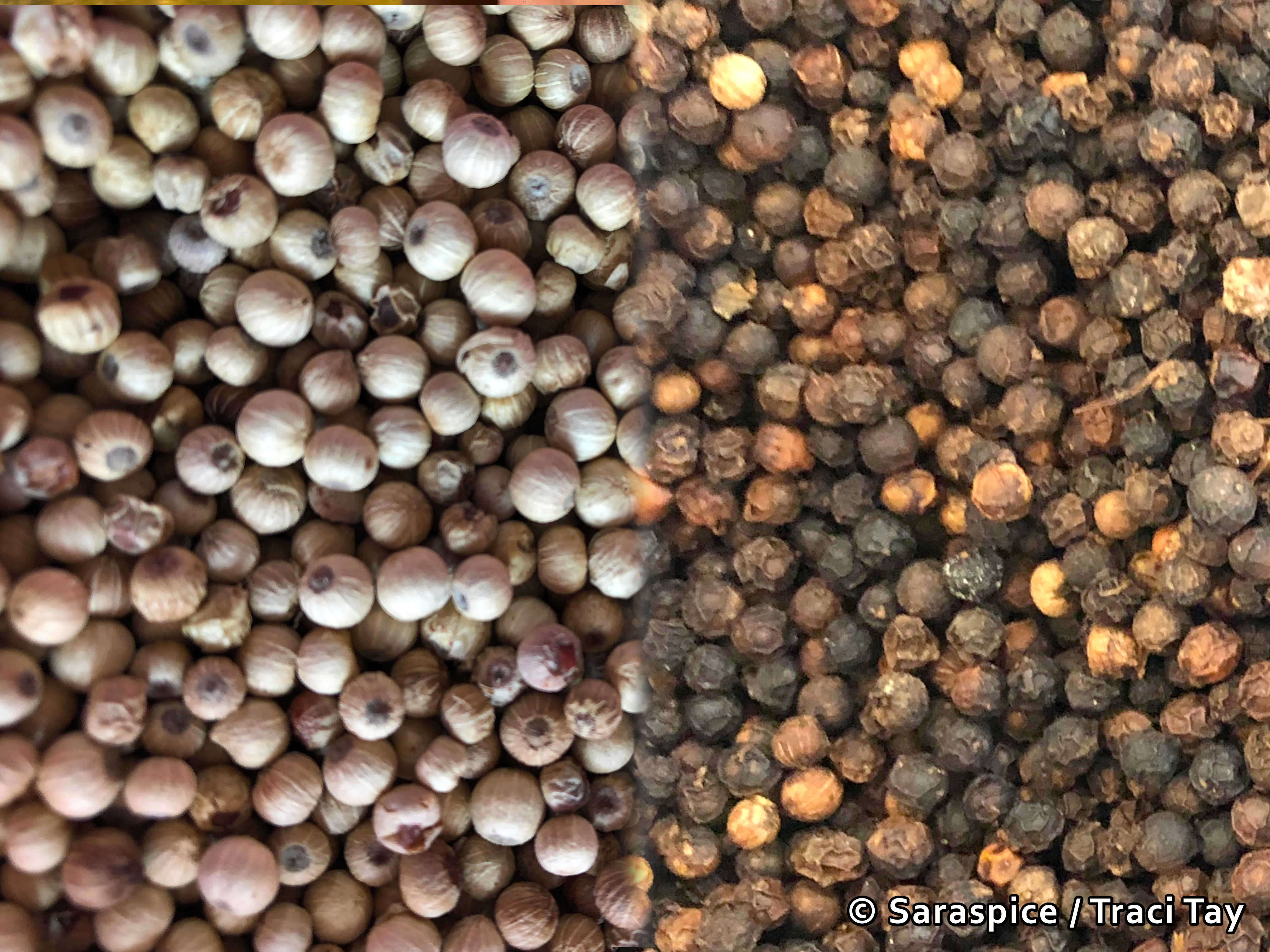 Sustainability – Saraspice